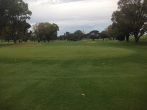 Dongara Golf Club | The best kept secret north of Perth!